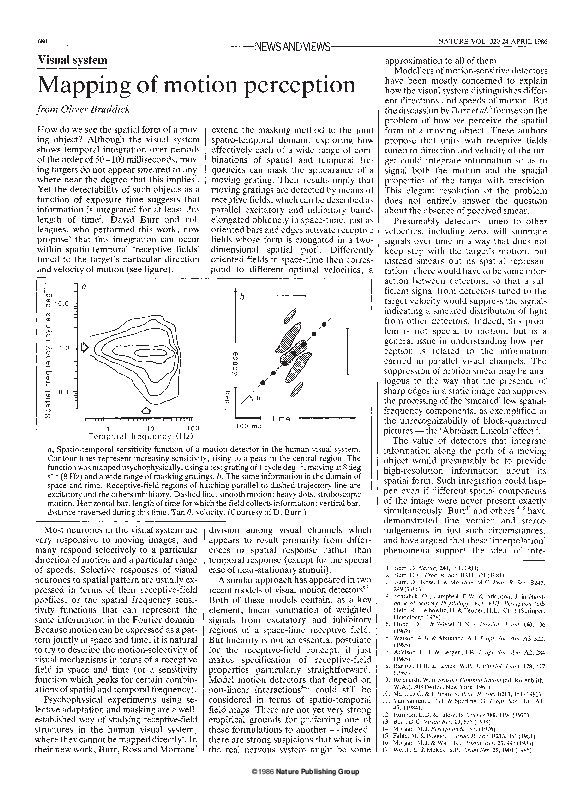 (PDF) Visual System: Mapping of motion perception