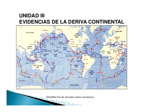 (PDF) EVIDENCIAS DE LA DERIVA CONTINENTAL