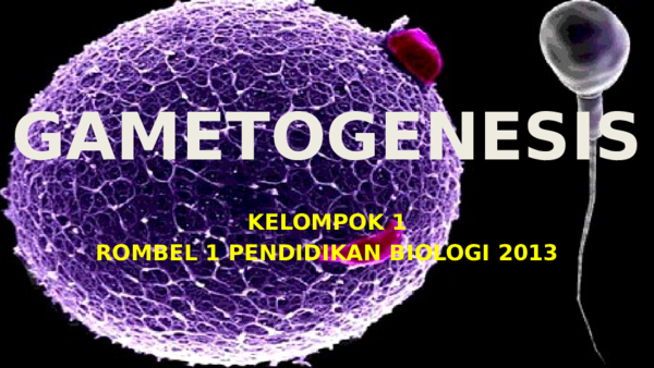 (PPT) Gametogenesis_ppt.pptx