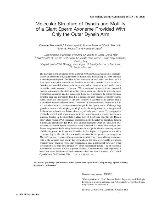 (PDF) Molecular structure of dynein and motility of a giant sperm ...