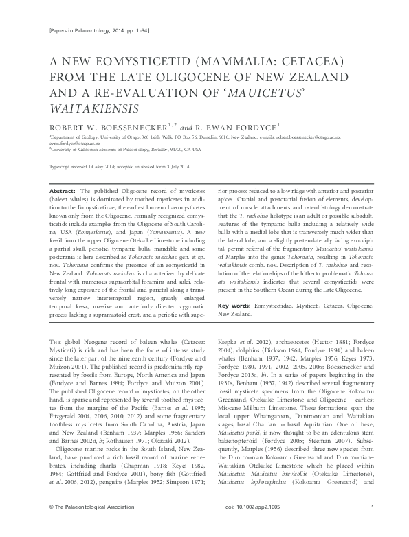 (PDF) A new Eomysticetid (Mammalia: Cetacea) from the Late Oligocene of ...