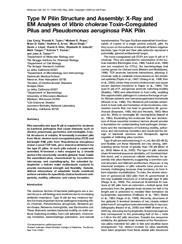 (PDF) Type IV Pilin Structure and Assembly: X-Ray and EM Analyses of ...