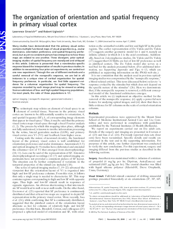 Pdf The Organization Of Orientation And Spatial Frequency In Primary Visual Cortex