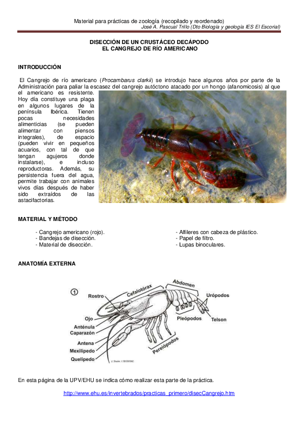(PDF) Material para prácticas de zoología (recopilado y reordenado ...