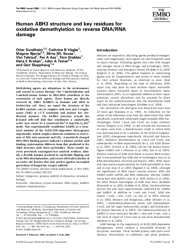 (PDF) Structure of Human ABH3 Reveals Mechanisms of DNA/RNA Repair