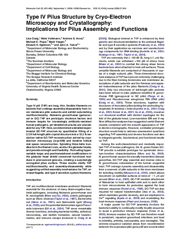 (PDF) Type IV Pilus Structure by Cryo-Electron Microscopy and ...
