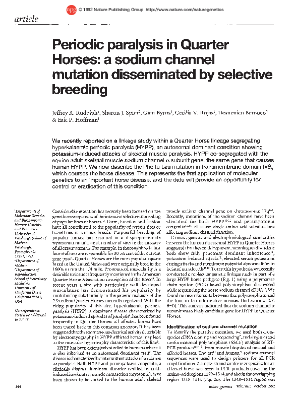 (PDF) Periodic paralysis in Quarter Horses: a sodium channel mutation ...