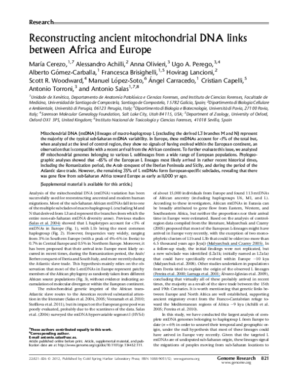 (PDF) Reconstructing ancient mitochondrial DNA links between Africa and ...