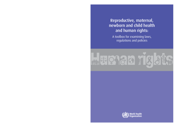 (PDF) Reproductive, maternal, newborn and child health and human rights ...