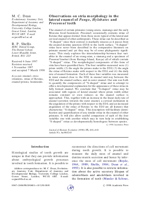 (PDF) Observations on stria morphology in the lateral enamel of Pongo ...