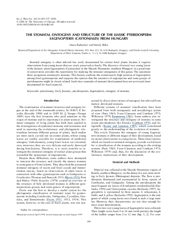 (PDF) The Stomatal Ontogeny and Structure of the Liassic Pteridosperm ...