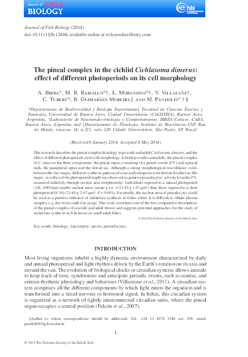 (PDF) The pineal complex in the cichlid Cichlasoma dimerus: effect of ...