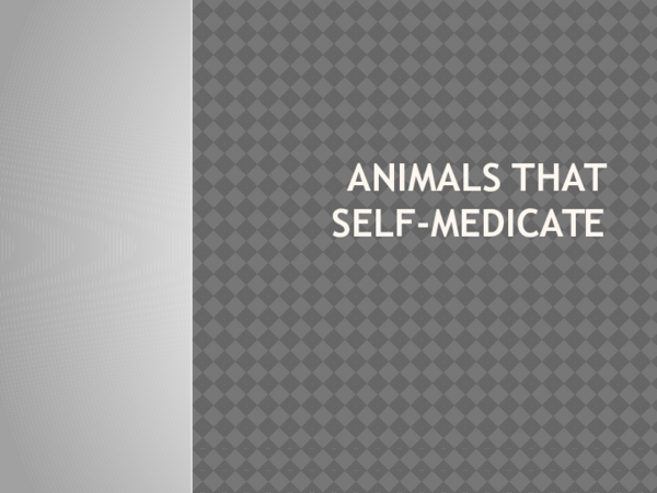 (PPT) Animals that self-medicate