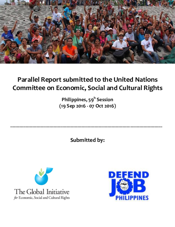 (PDF) Parallel Report submitted to the United Nations Committee on ...
