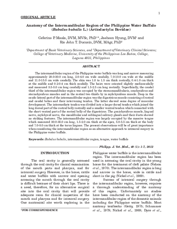 (PDF) Anatomy of the Intermandibular Region of the Philippine Water ...