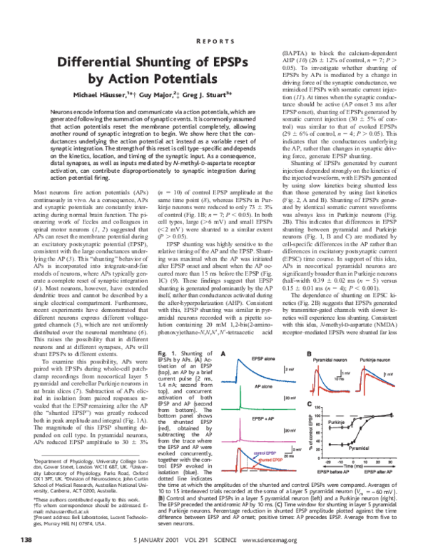 (PDF) Differential Shunting of EPSPs by Action Potentials