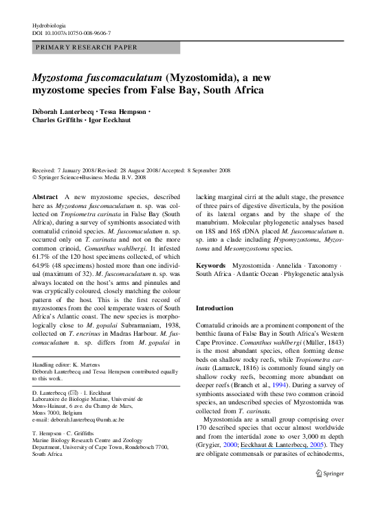 (PDF) Myzostoma fuscomaculatum (Myzostomida), a new myzostome species ...