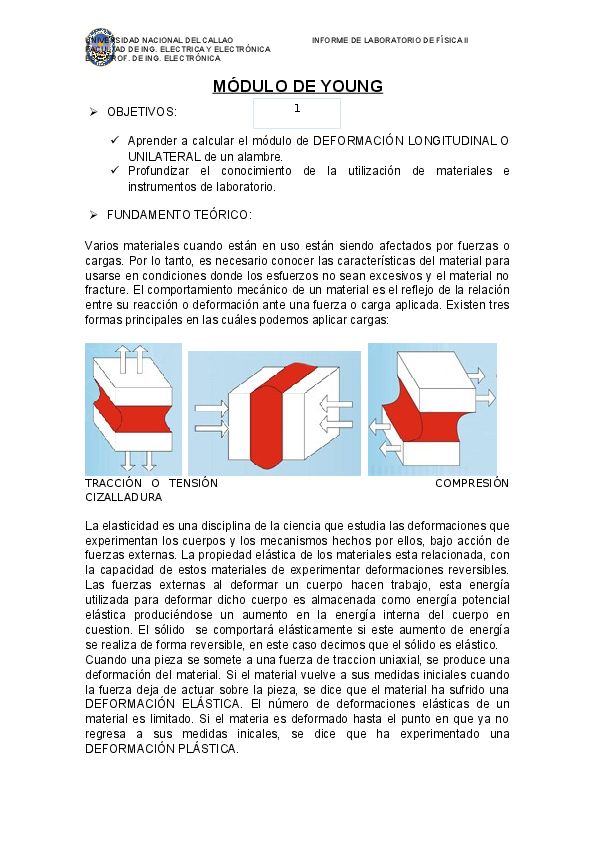 (DOC) MÓDULO DE YOUNG