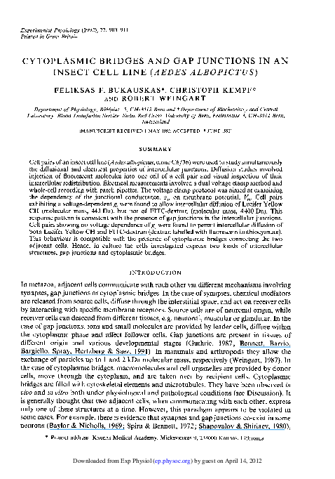 (PDF) Cytoplasmic bridges and gap junctions in an insect cell line ...