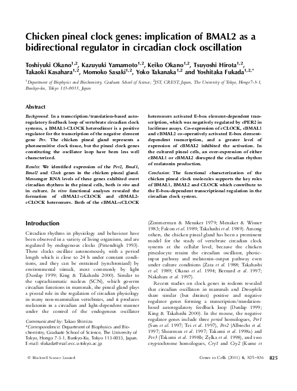(PDF) Chicken pineal clock genes: implication of BMAL2 as a ...