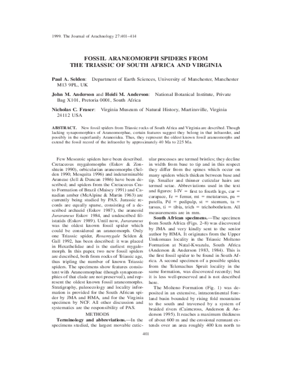 (PDF) Fossil araneomorph spiders from the Triassic of South Africa and ...