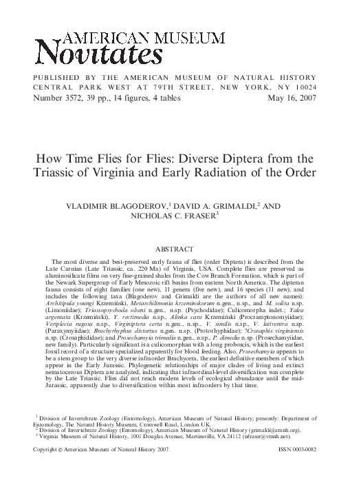(PDF) How Time Flies for Flies: Diverse Diptera from the Triassic of ...