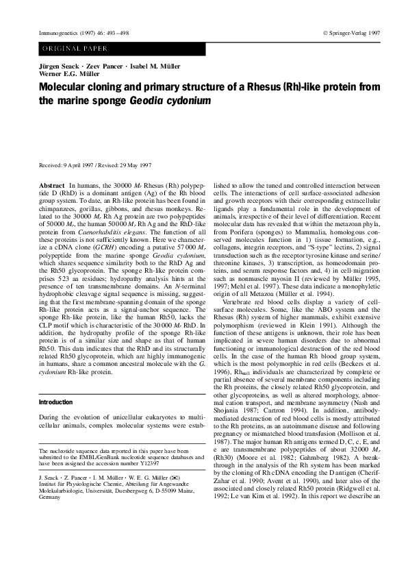 (PDF) Molecular cloning and primary structure of a Rhesus (Rh)-like ...