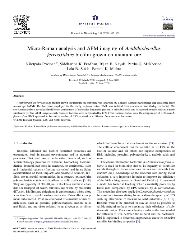 (PDF) Micro-Raman analysis and AFM imaging of Acidithiobacillus ...