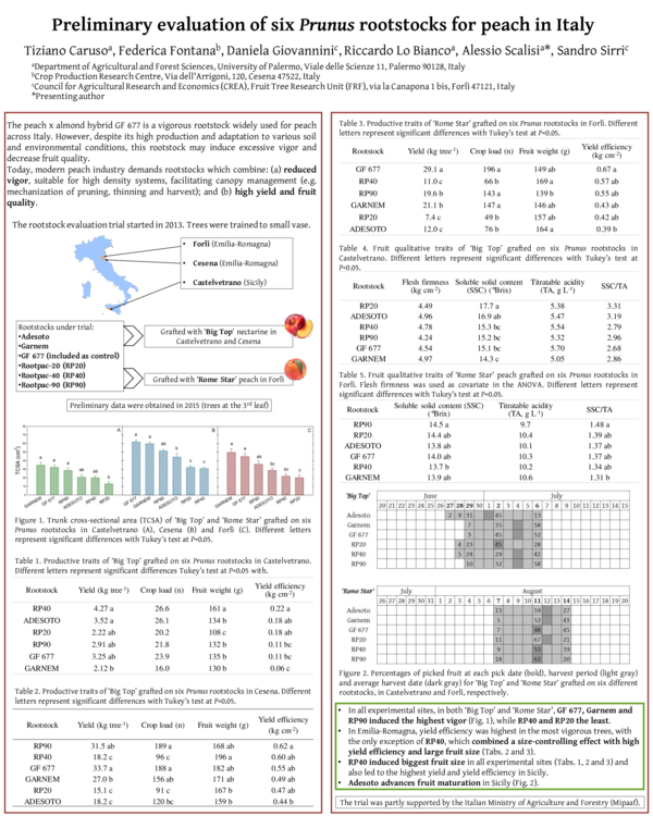 (PDF) Preliminary evaluation of six Prunus rootstocks for peach in Italy