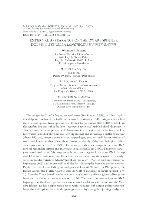 (PDF) External Appearance of the Dwarf Spinner Dolphin Stenella ...