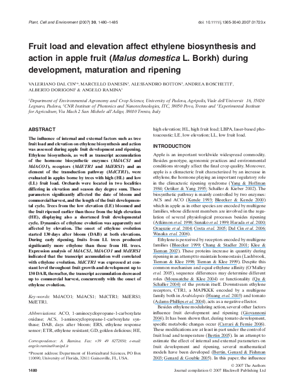(PDF) Fruit load and elevation affect ethylene biosynthesis and action ...