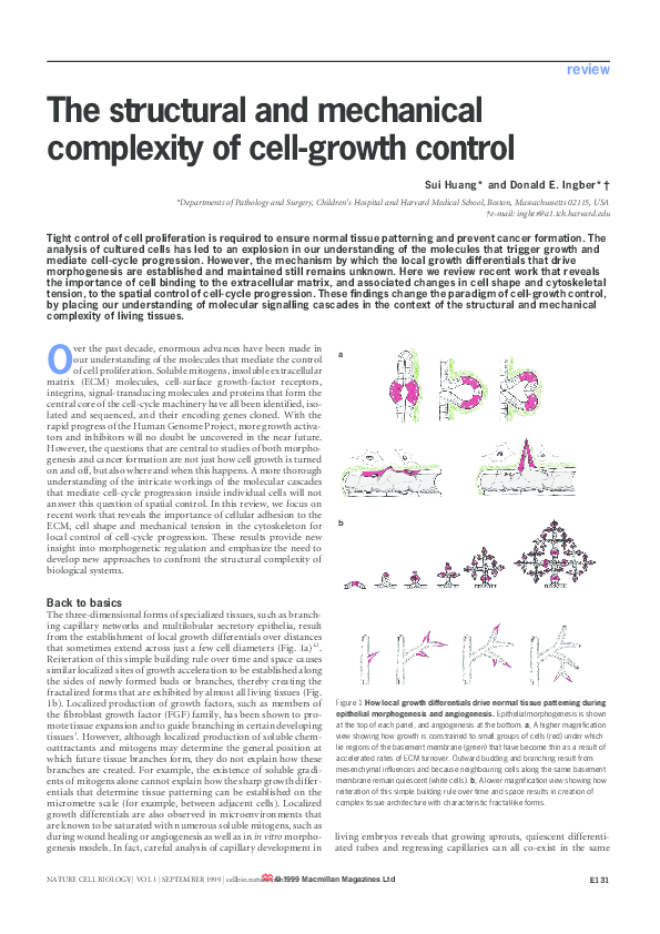 (PDF) The structural and mechanical complexity of cell-growth control
