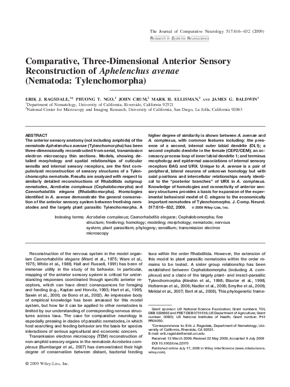 (PDF) Comparative, three-dimensional anterior sensory reconstruction of ...