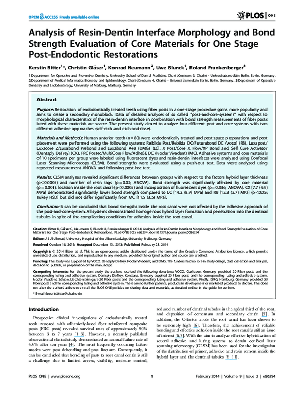 (PDF) Analysis of Resin-Dentin Interface Morphology and Bond Strength ...