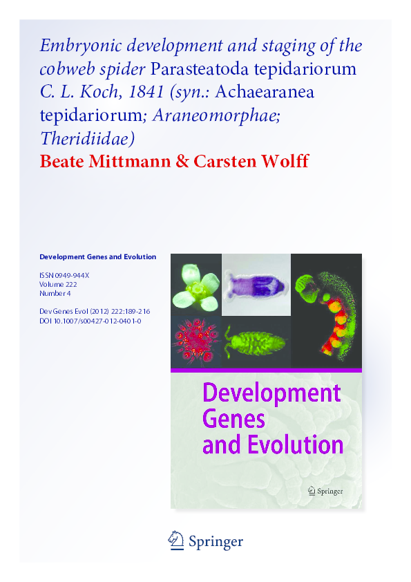 (PDF) Embryonic development and staging of the cobweb spider ...