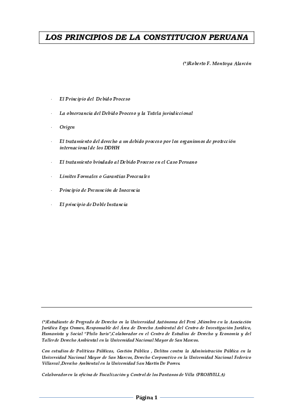 (PDF) LOS PRINCIPIOS DE LA CONSTITUCION PERUANA
