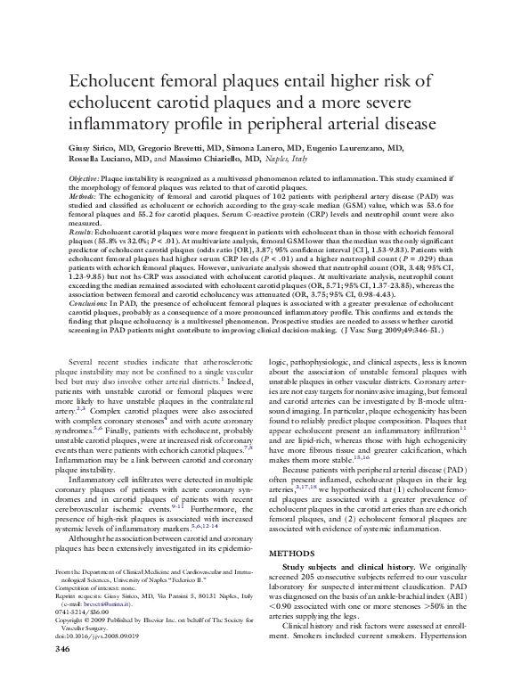 (PDF) Echolucent femoral plaques entail higher risk of echolucent ...