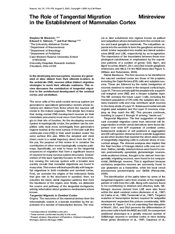 (PDF) The Role of Tangential Migration in the Establishment of ...