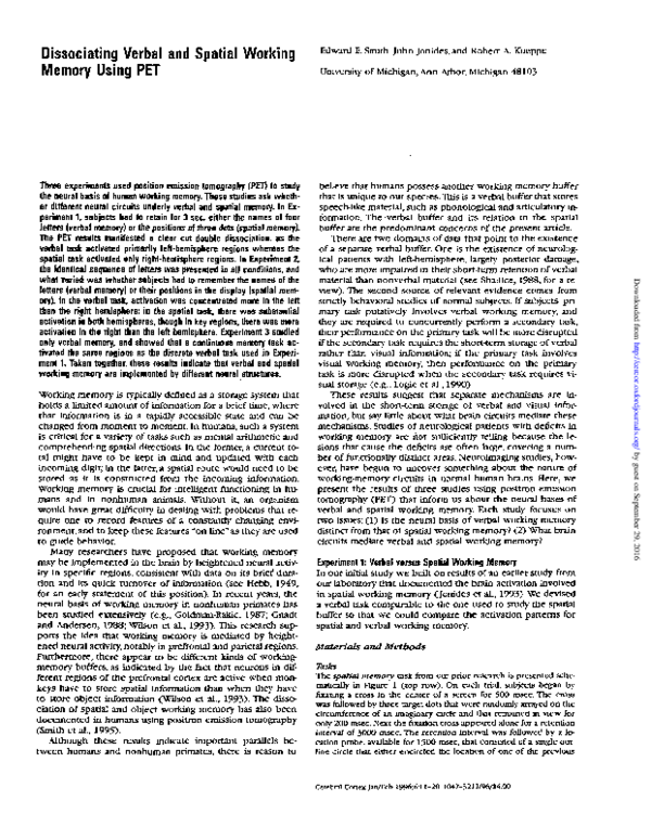 (PDF) Dissociating Verbal and Spatial Working Memory Using PET