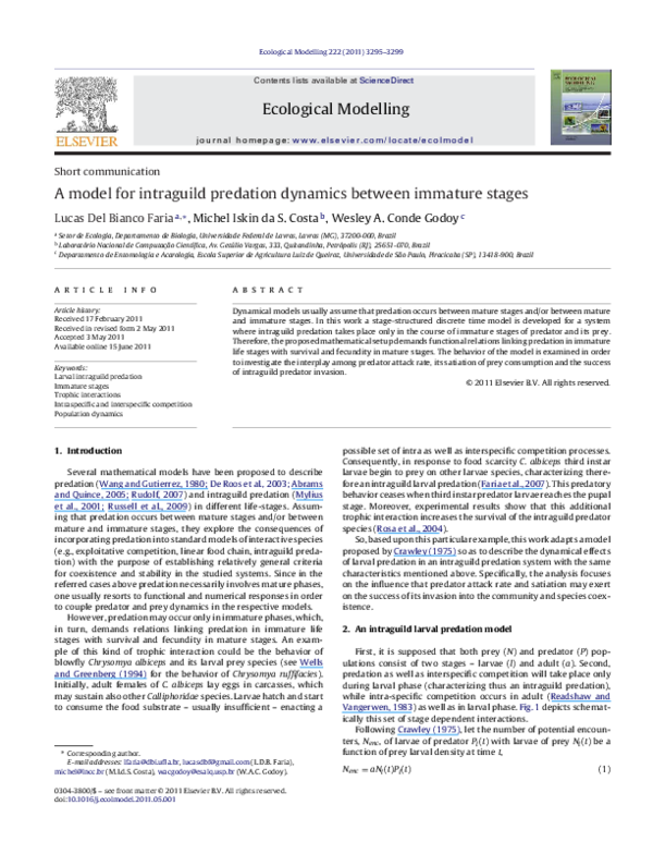 (PDF) A model for intraguild predation dynamics between immature stages