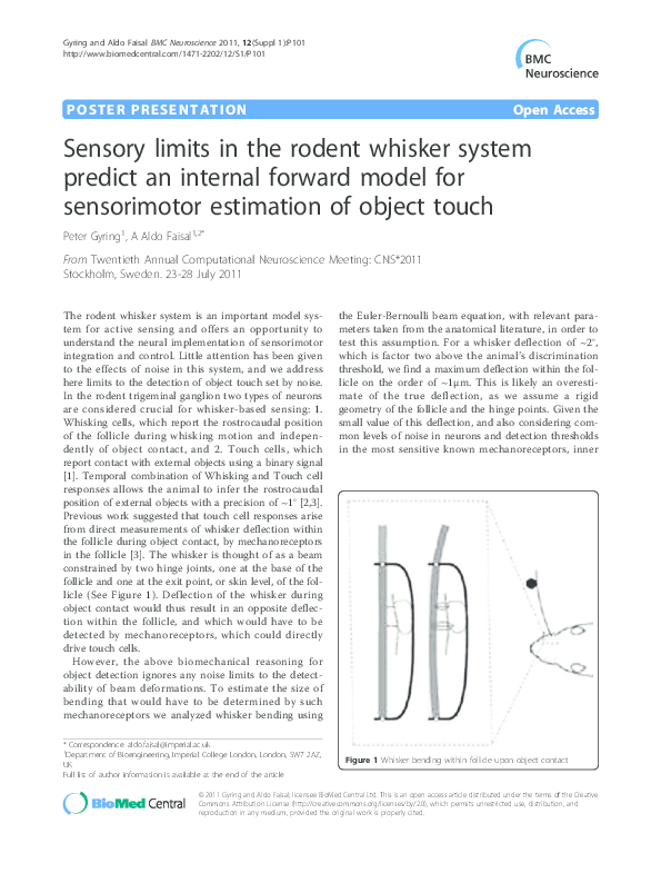 Pdf Sensory Limits In The Rodent Whisker System Predict An Internal Forward Model For