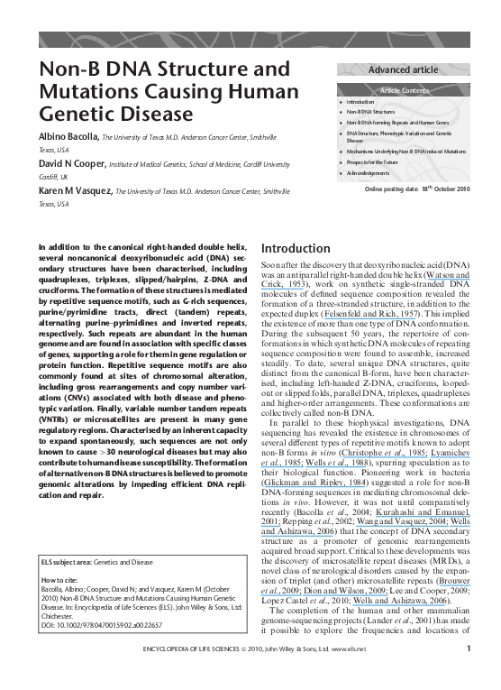 (PDF) Non-B DNA Structure and Mutations Causing Human Genetic Disease