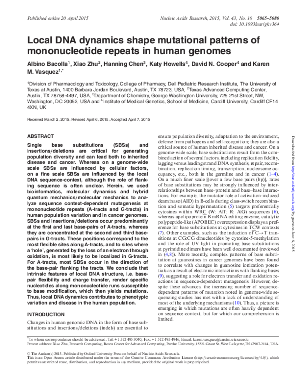 (PDF) Local DNA dynamics shape mutational patterns of mononucleotide ...
