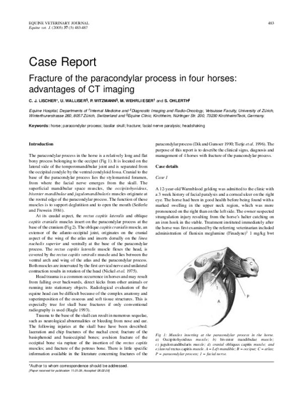 (PDF) Fracture of the paracondylar process in four horses: advantages ...