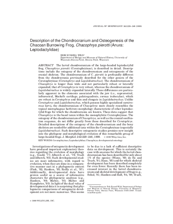 (PDF) Description of the chondrocranium and osteogenesis of the chacoan ...
