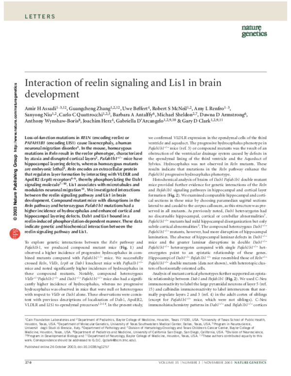 (PDF) Interaction of reelin signaling and Lis1 in brain development