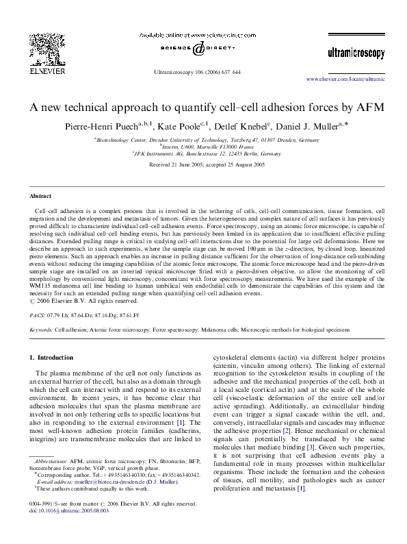 (PDF) A new technical approach to quantify cell–cell adhesion forces by AFM
