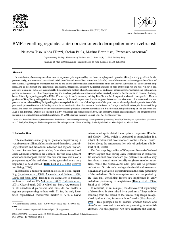 (PDF) BMP signalling regulates anteroposterior endoderm patterning in ...
