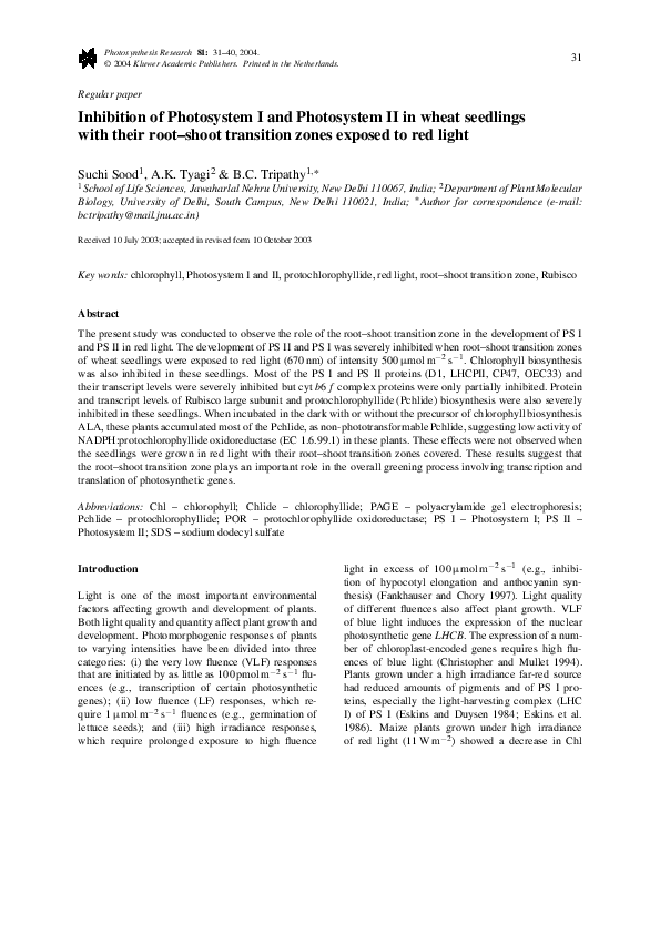 (PDF) Inhibition of Photosystem I and Photosystem II in Wheat Seedlings ...