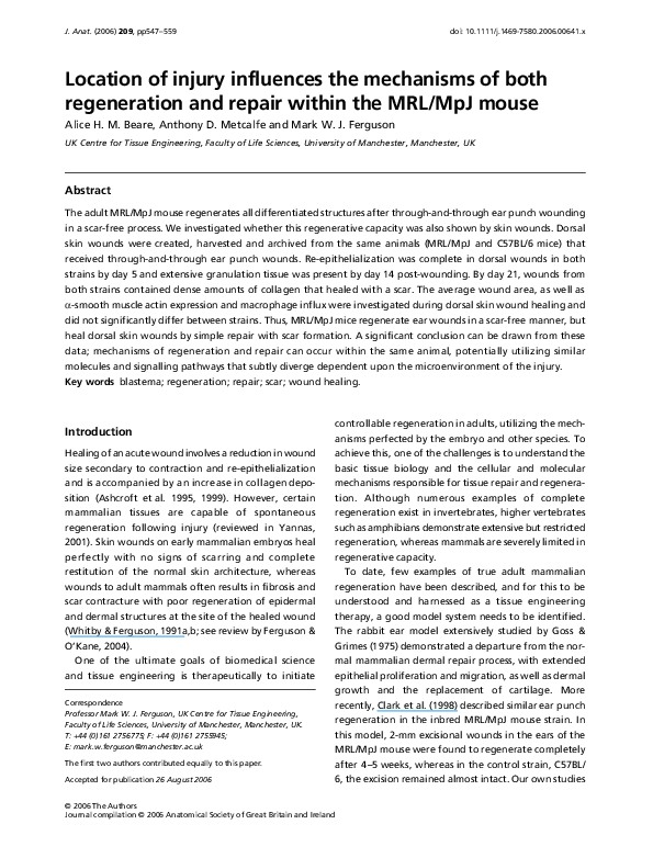(PDF) Location of injury influences the mechanisms of both regeneration ...